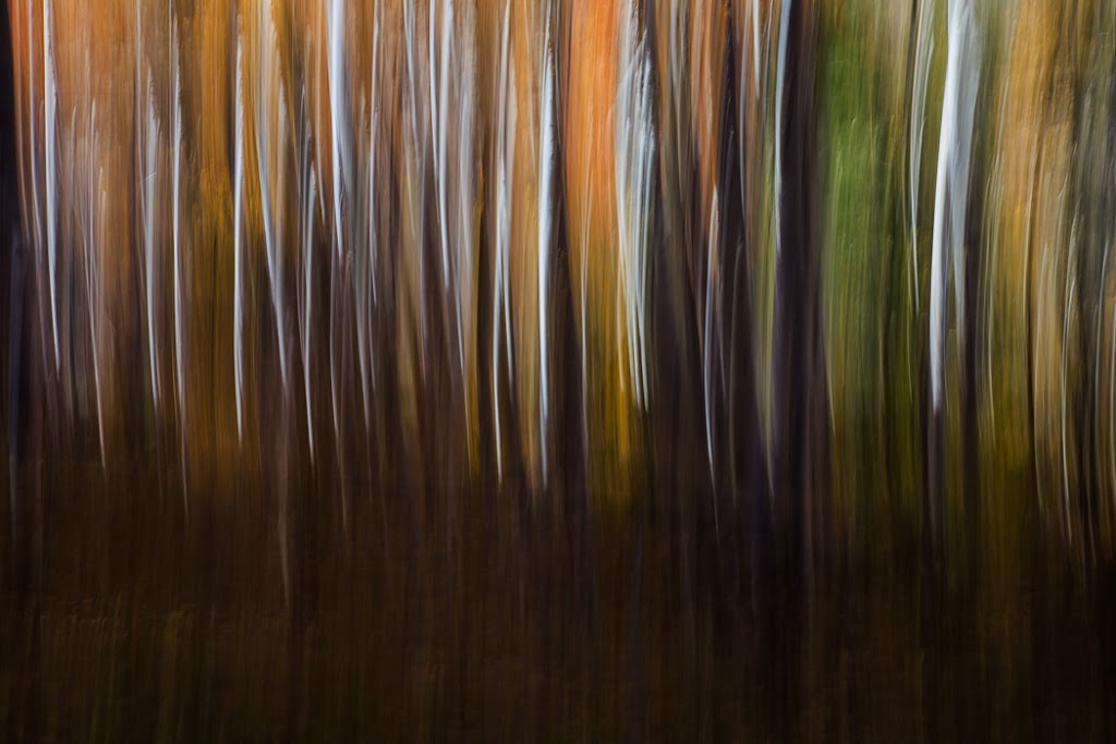 Photography Technique: Pan Blur - Jeff Sullivan Photography
